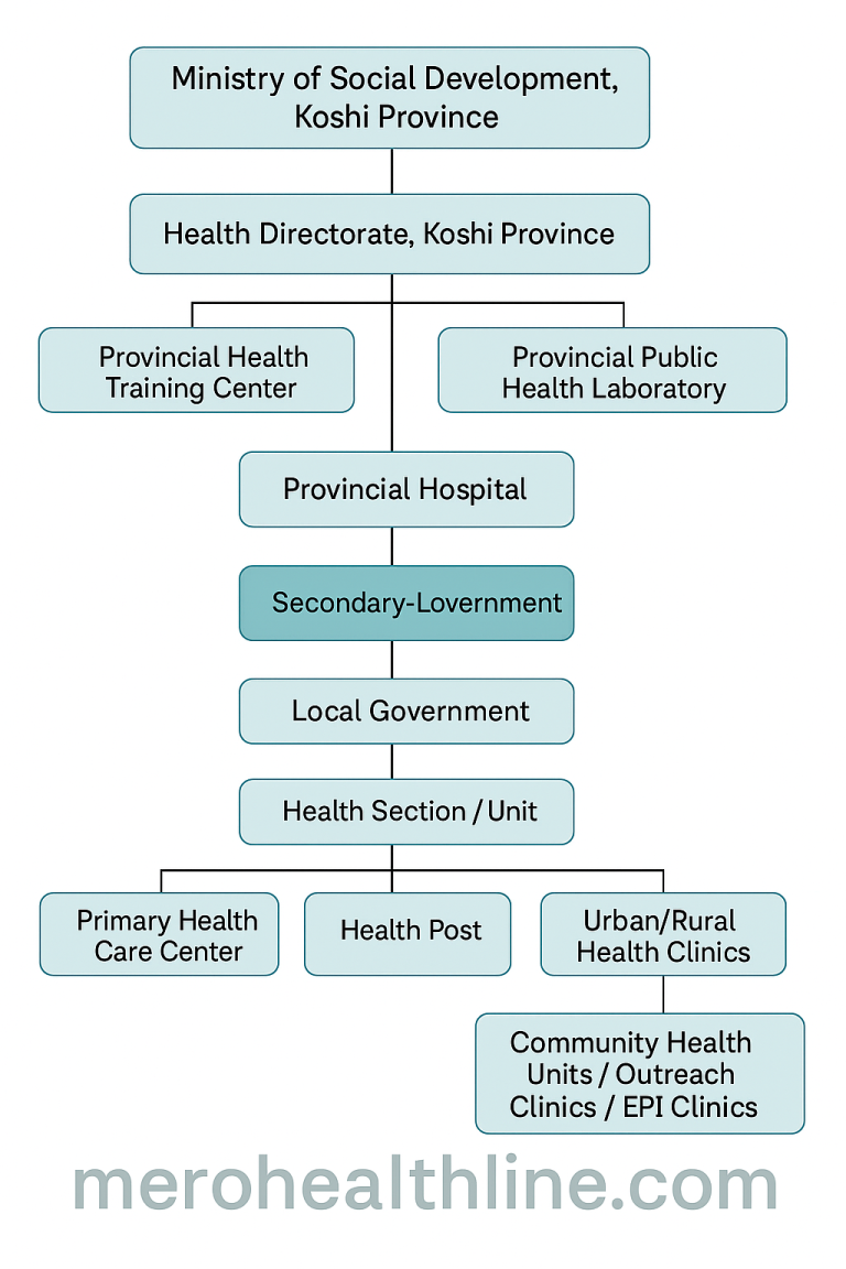 Organizational Structure of the Health Care System in Koshi Province ...